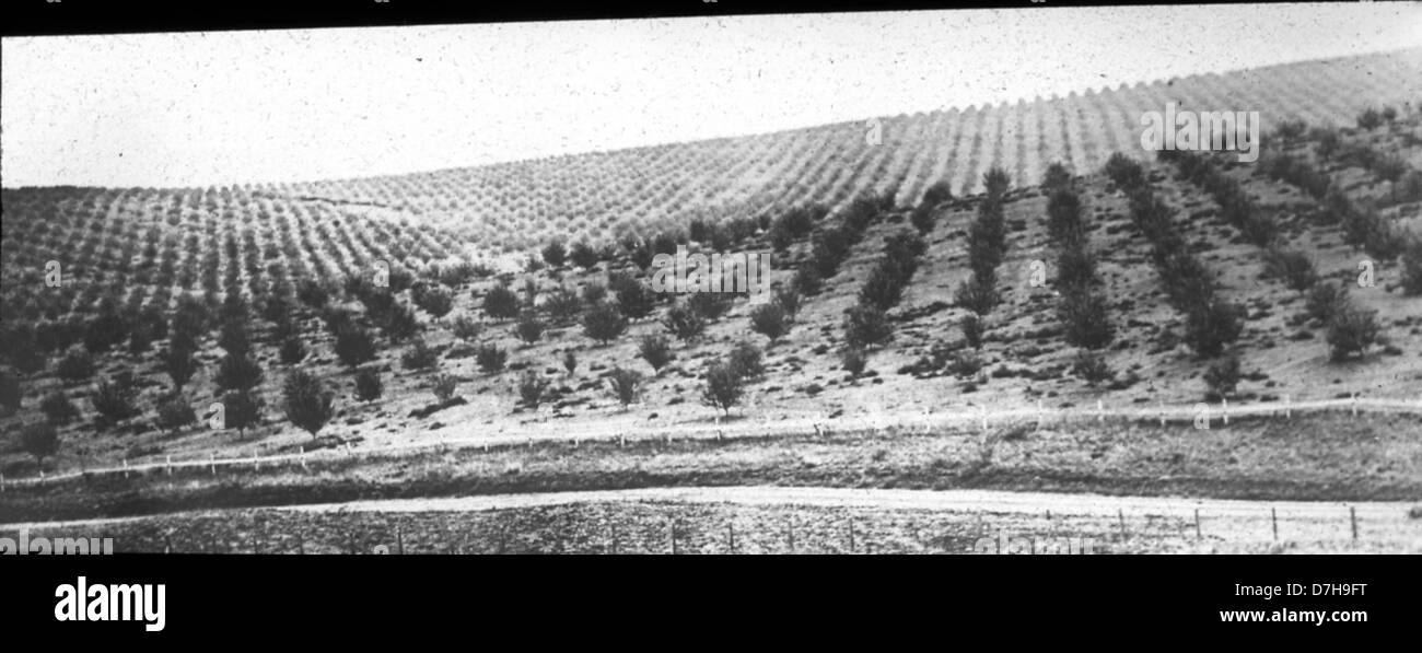 Dufur hi-res stock photography and images - Alamy