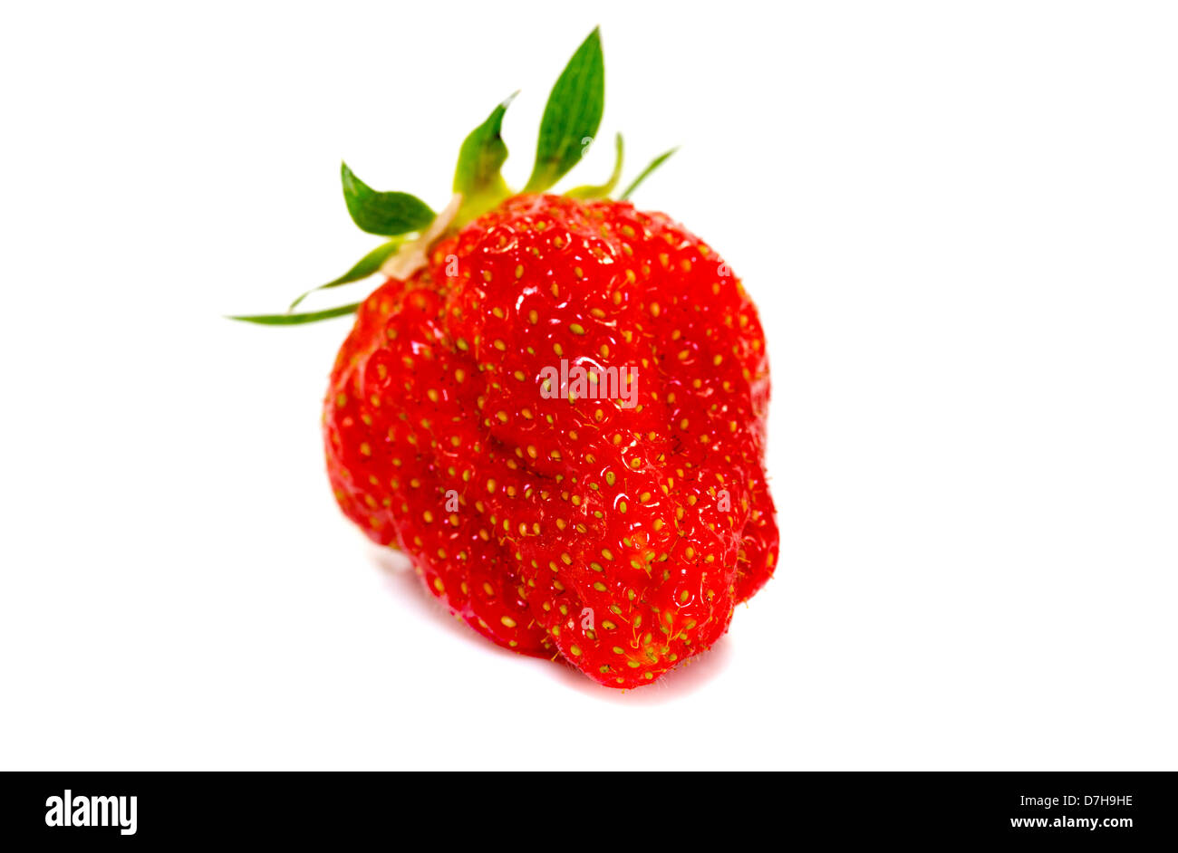 one strawberry isolated on white background Stock Photo - Alamy