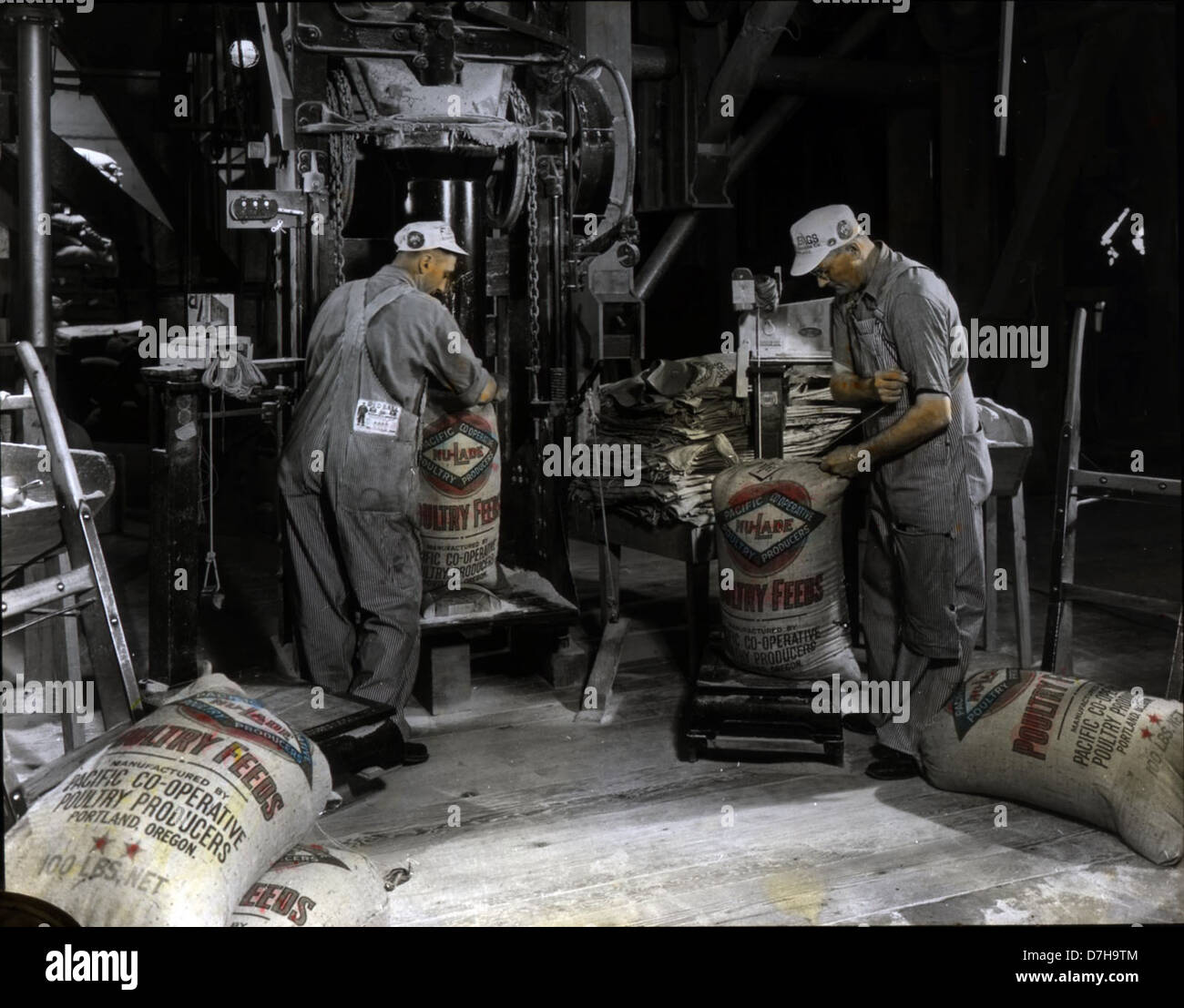 Poultry industries hi-res stock photography and images - Alamy