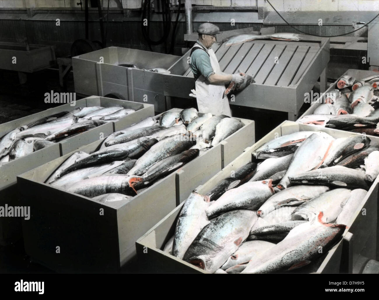 Identifier archives3211 dc hi-res stock photography and images - Alamy