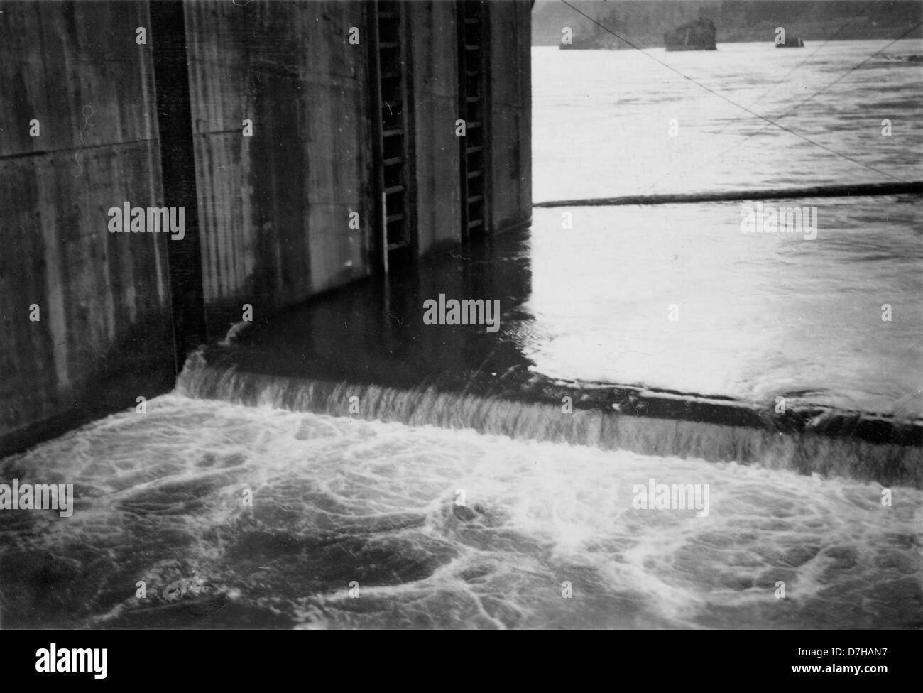 The temporary fish ladder is a structure designed to assist fish ...