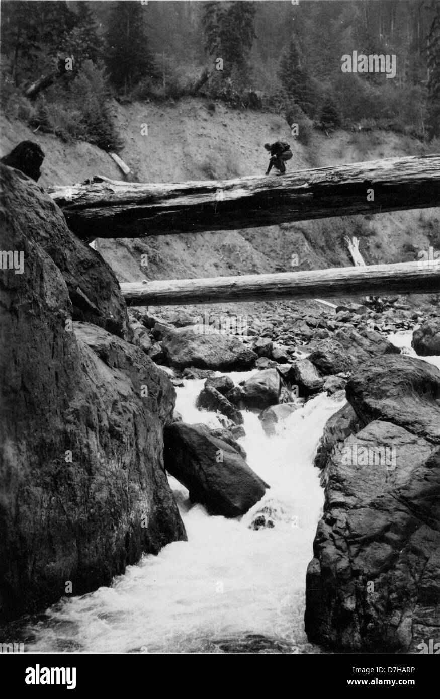 This photograph captures the stunning waterfalls along Grays River ...