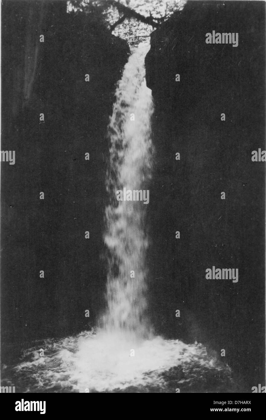 Lush natural surroundings Black and White Stock Photos & Images - Alamy