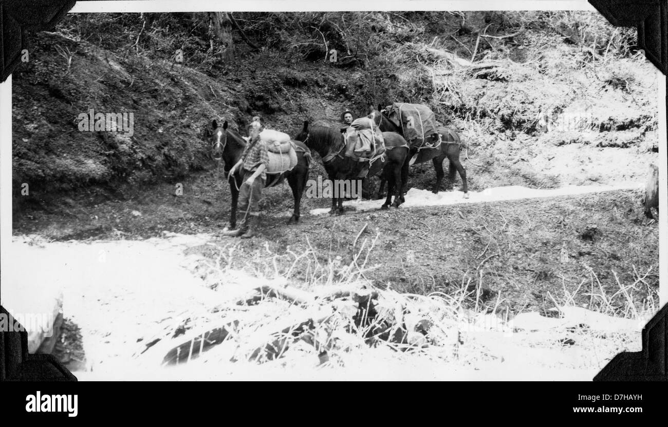 A photograph of a pack train in winter, captured through the OSU ...