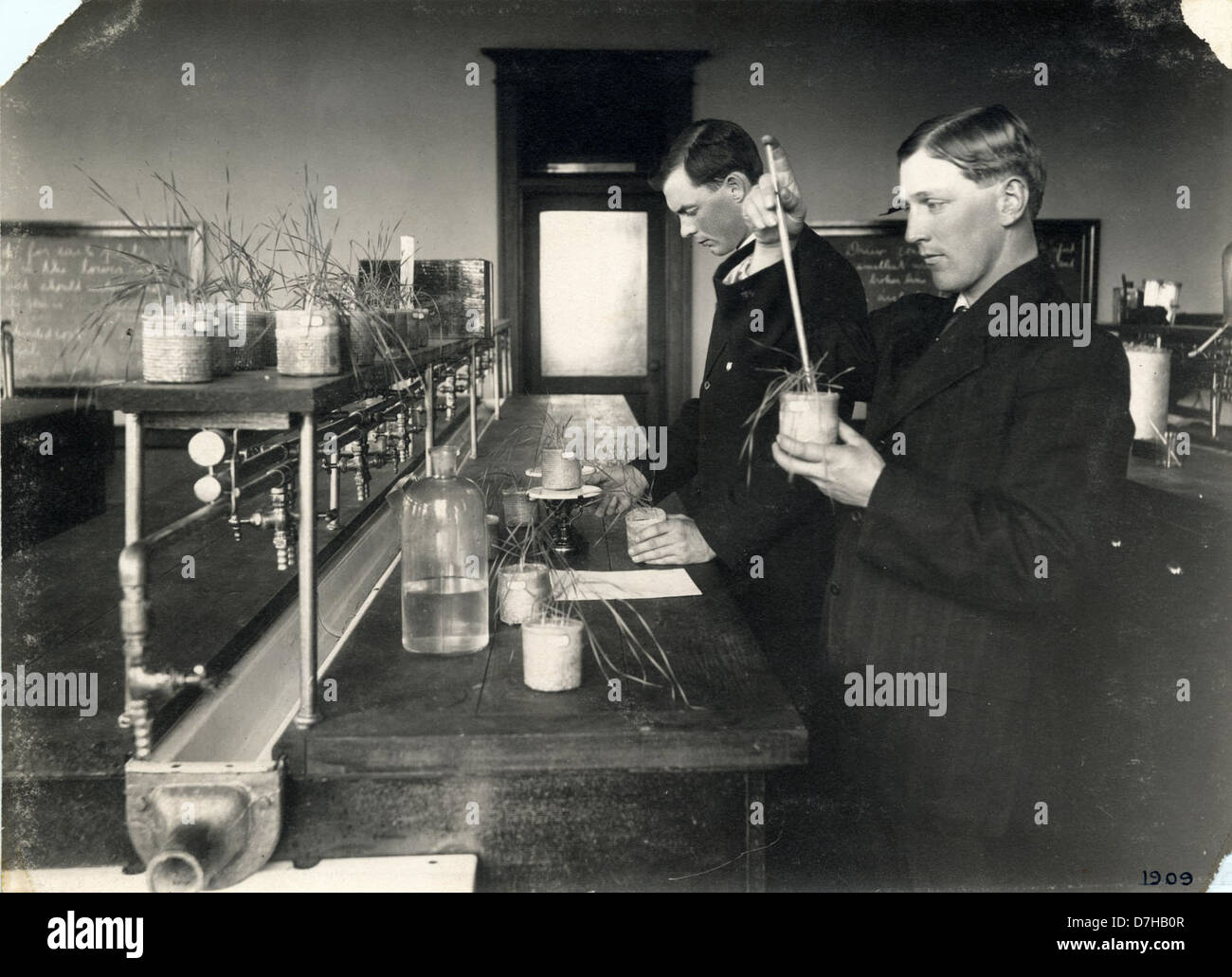 Students testing soil fertility Stock Photo - Alamy
