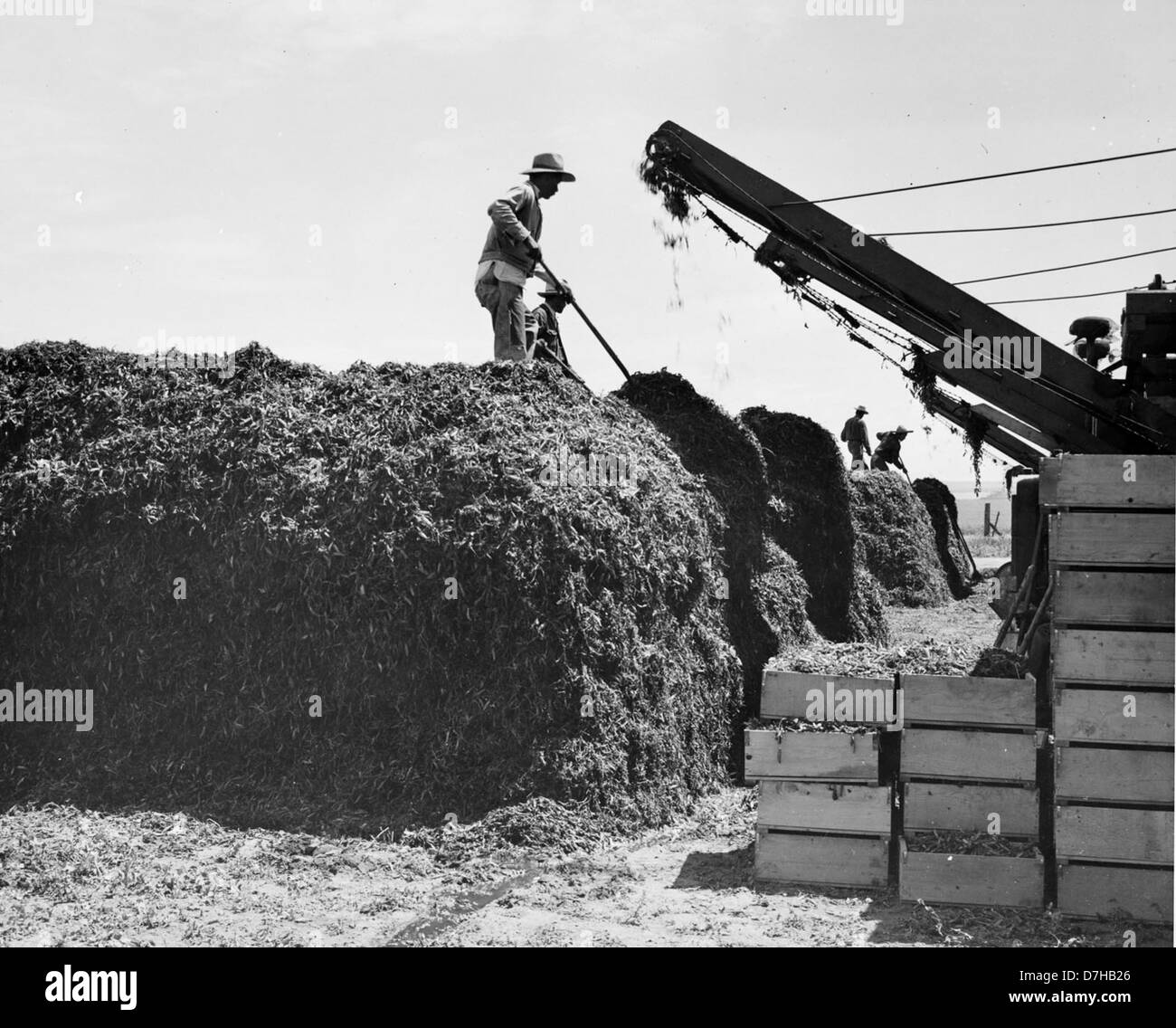 Bracero program 1940s hi-res stock photography and images - Alamy