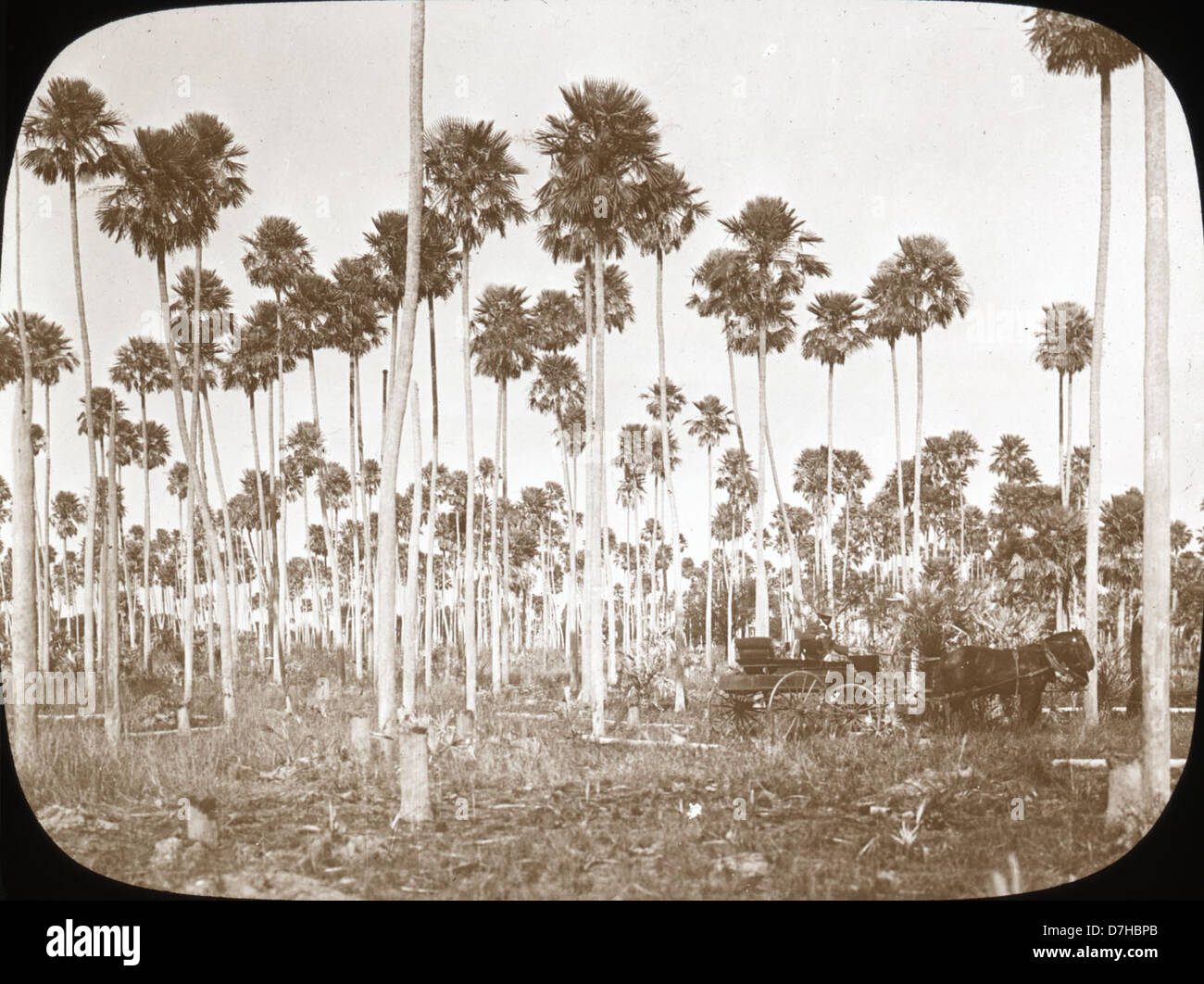 Scene In Chaco Stock Photo - Alamy