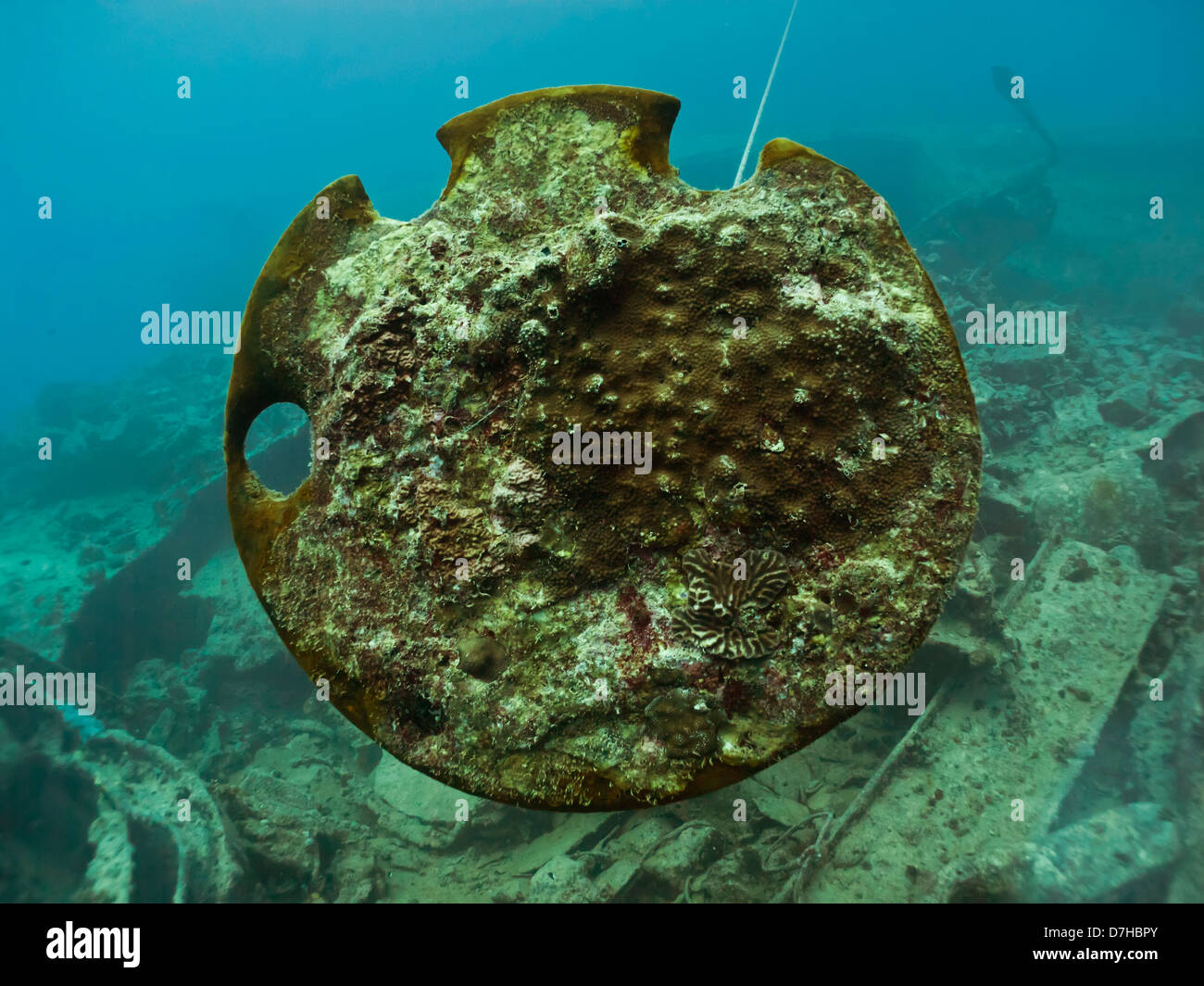 SS Thistlegorm, Red Sea, Egypt Stock Photo - Alamy
