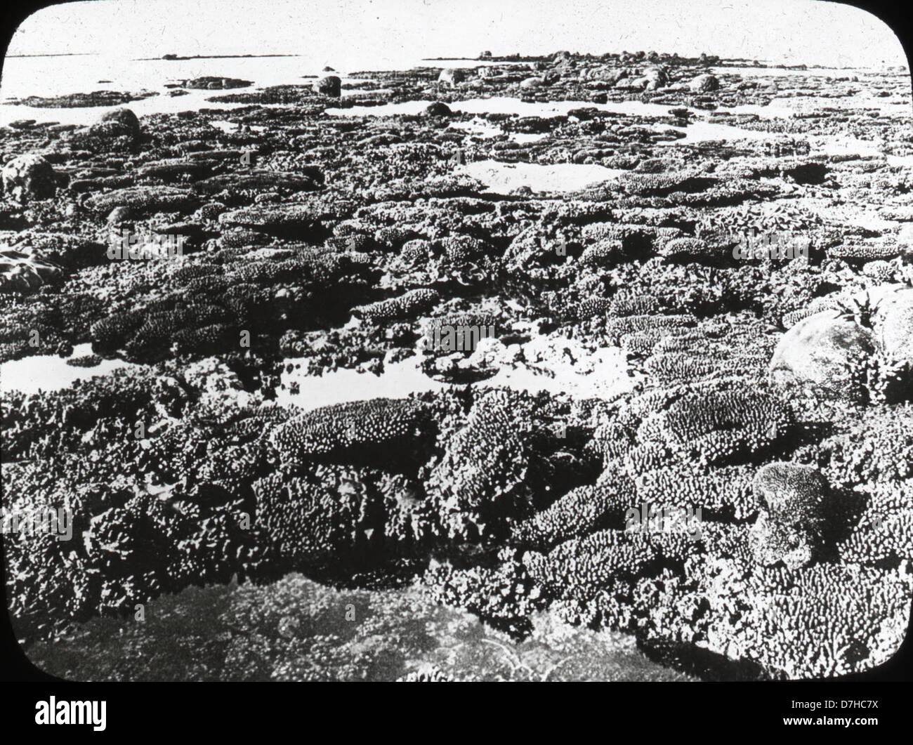 The Great Barrier Reef, located off the coast of Queensland, Australia ...