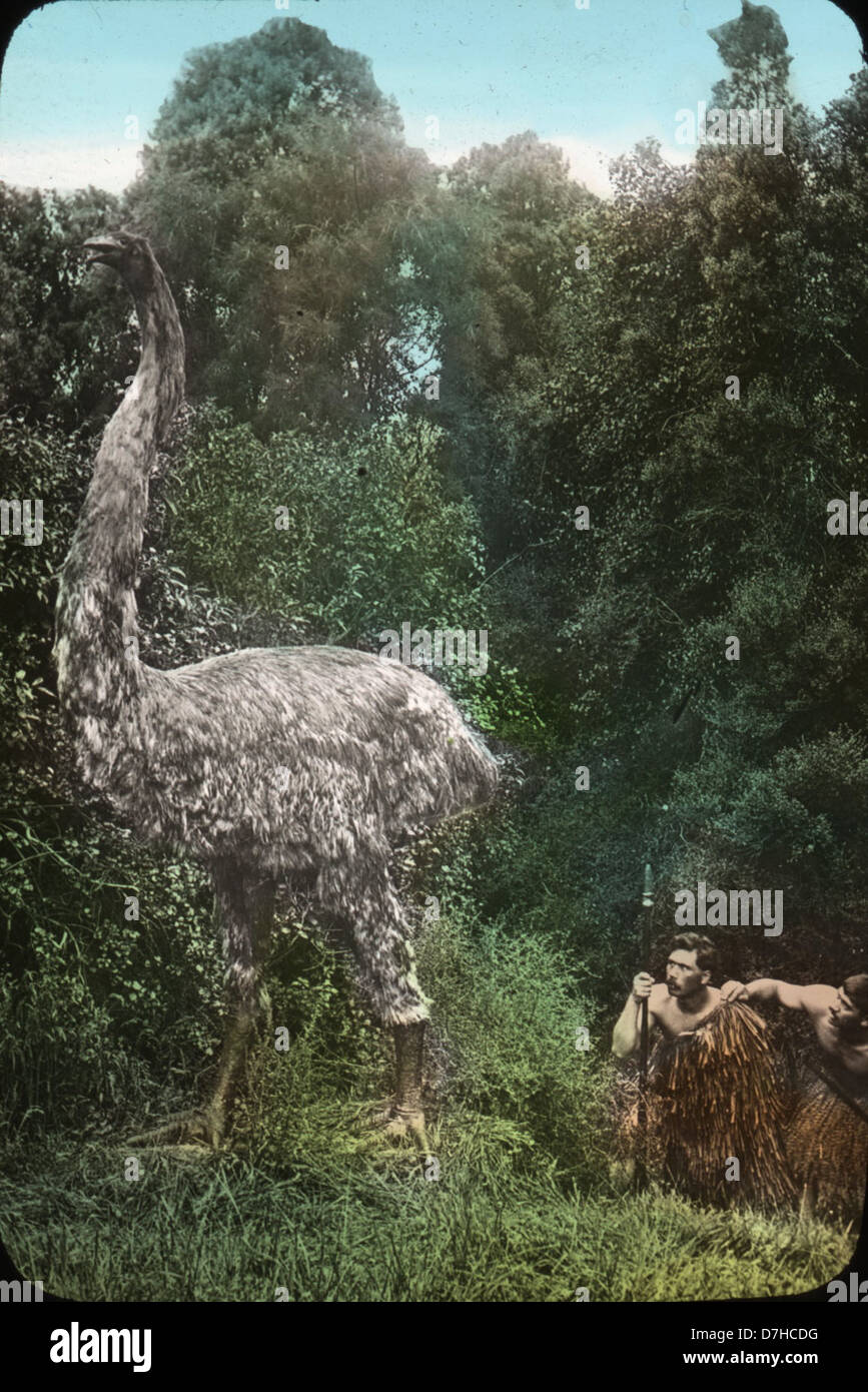 This archival photograph from the OSU Archives captures a ...