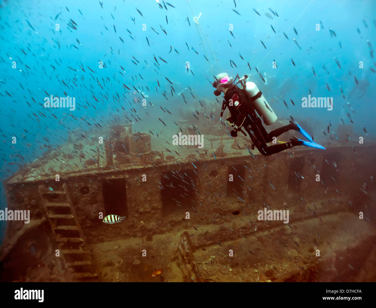 SS Thistlegorm, Red Sea, Egypt Stock Photo - Alamy