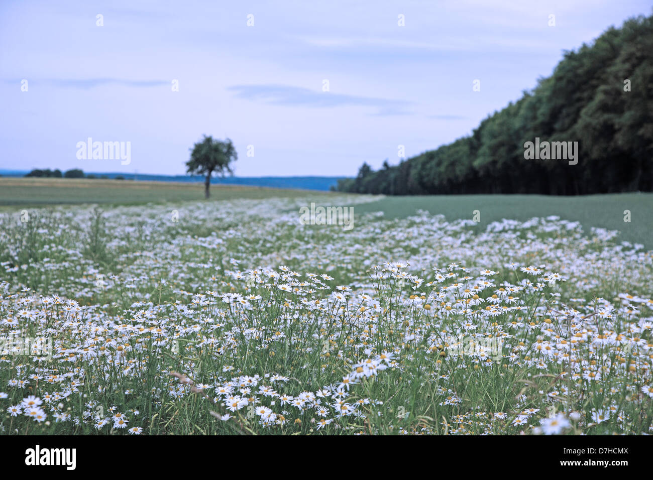 Hesse geography hi-res stock photography and images - Alamy