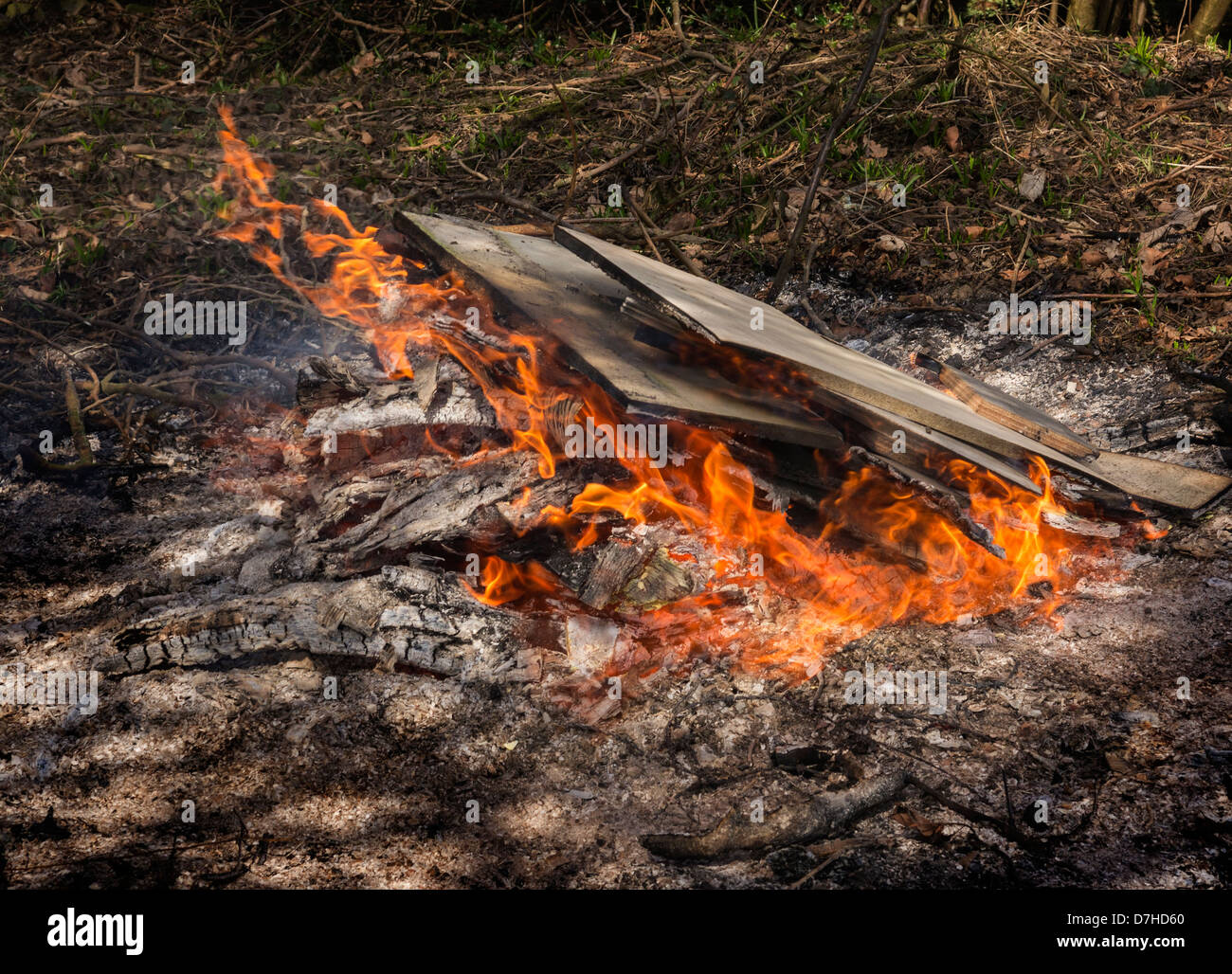 wood being burned on a garden bonfire Stock Photo - Alamy