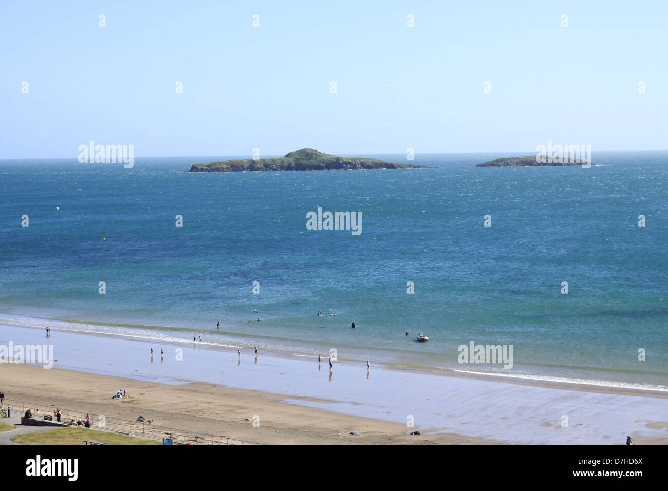 Gwylan fawr hi-res stock photography and images - Alamy