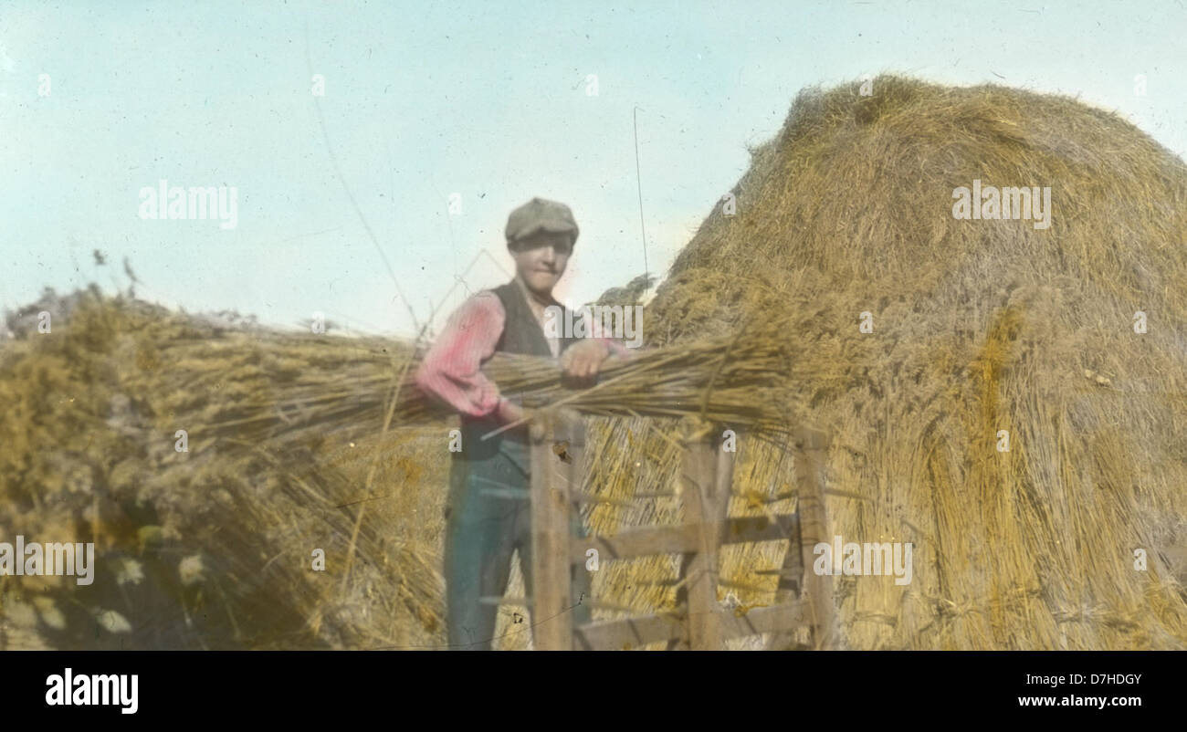 The 'Thatch is Home Grown' photograph captures traditional Danish ...