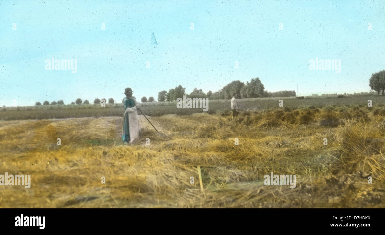 This photograph captures workers in a field in Denmark, reflecting the ...