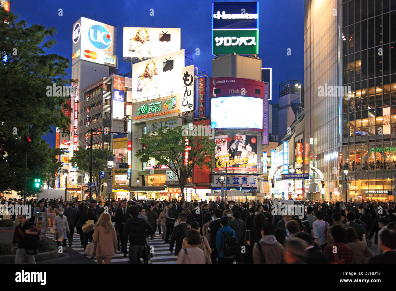 Shibuya Crossing Neon Billboard High Resolution Stock Photography and ...