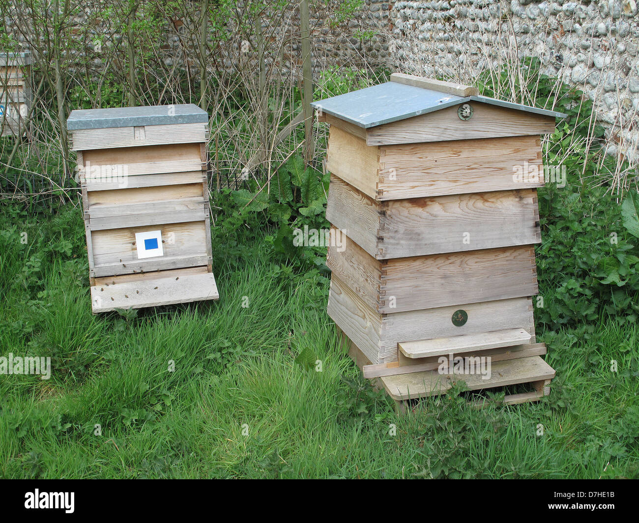 Bee hives in Norfolk Stock Photo - Alamy