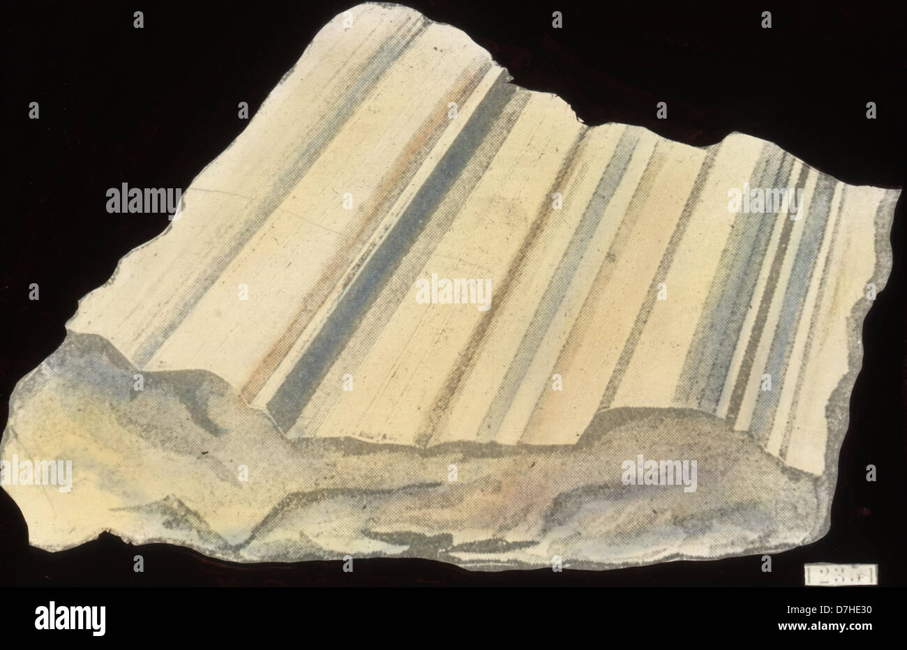 A photograph from the OSU Archives showcasing the rounded and fluted ...