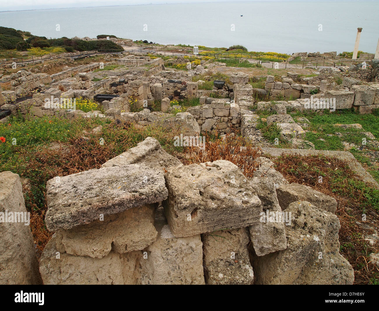 Flowers at ruins on Sardinia Stock Photo - Alamy