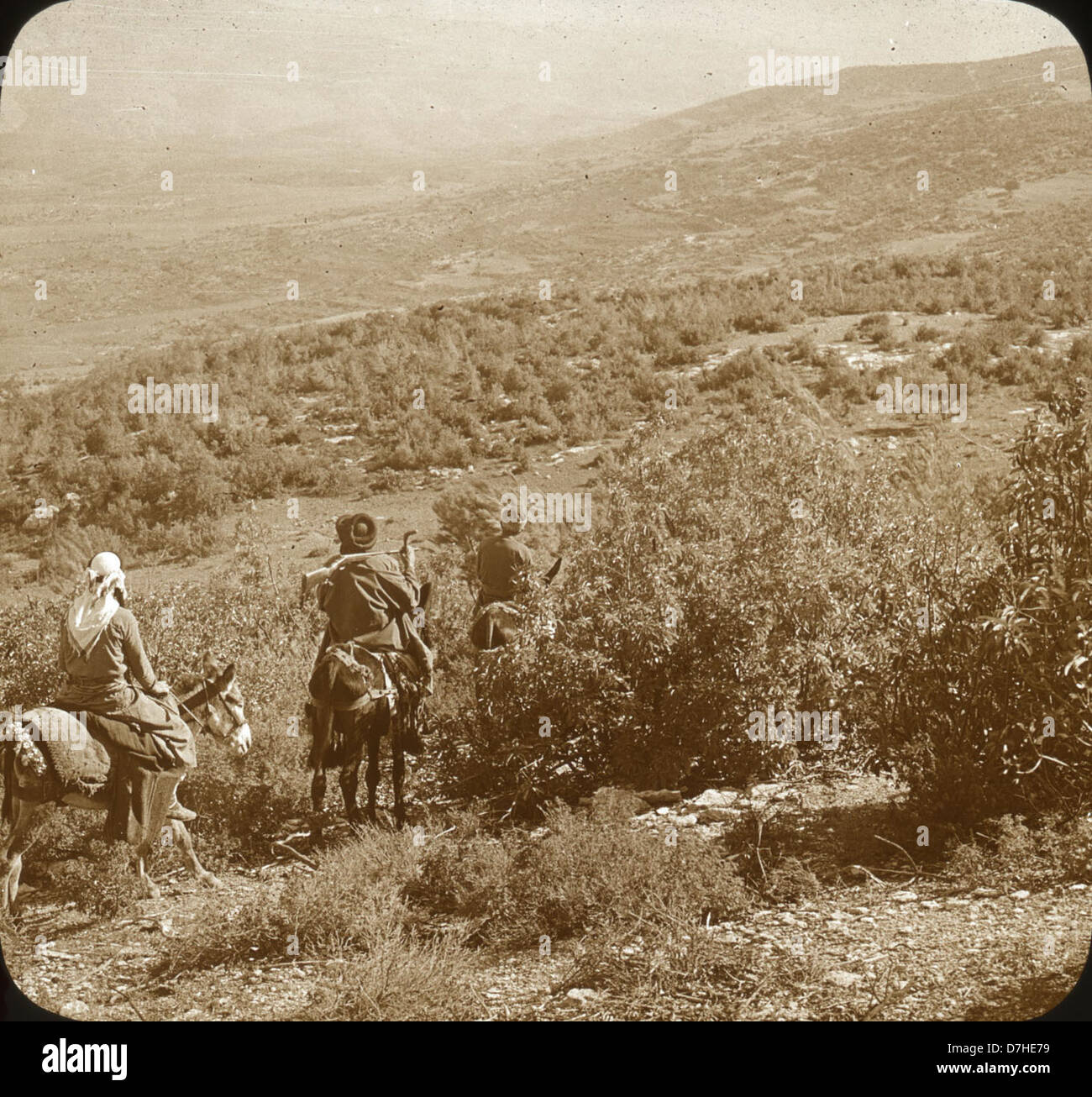 This image, taken from the north of Mount Nebo, offers a stunning view ...