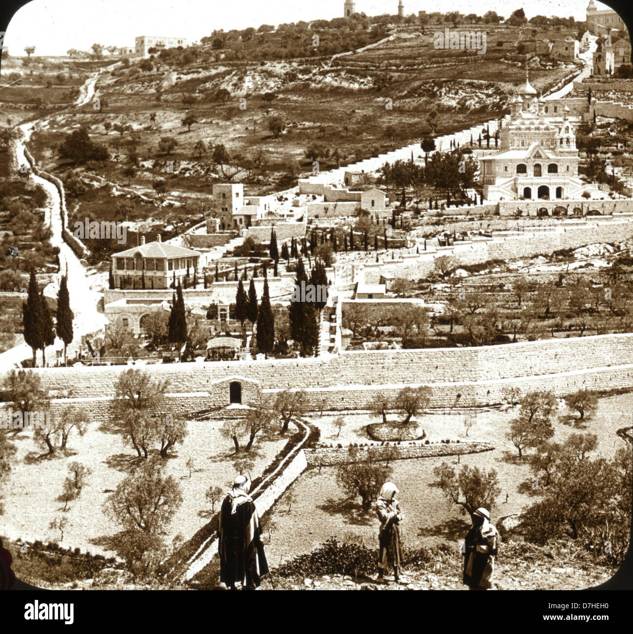 This image depicts the Garden of Gethsemane, located on the Mount of ...