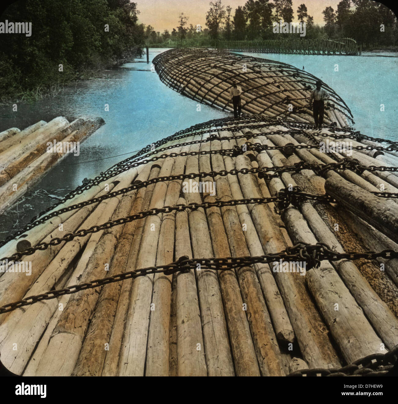 This image shows a raft of logs floating on the Columbia River, an ...