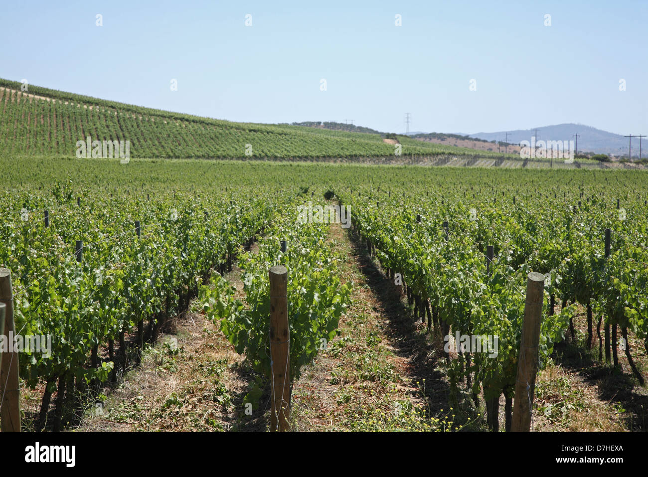 Chile camino sin berma hi-res stock photography and images - Alamy