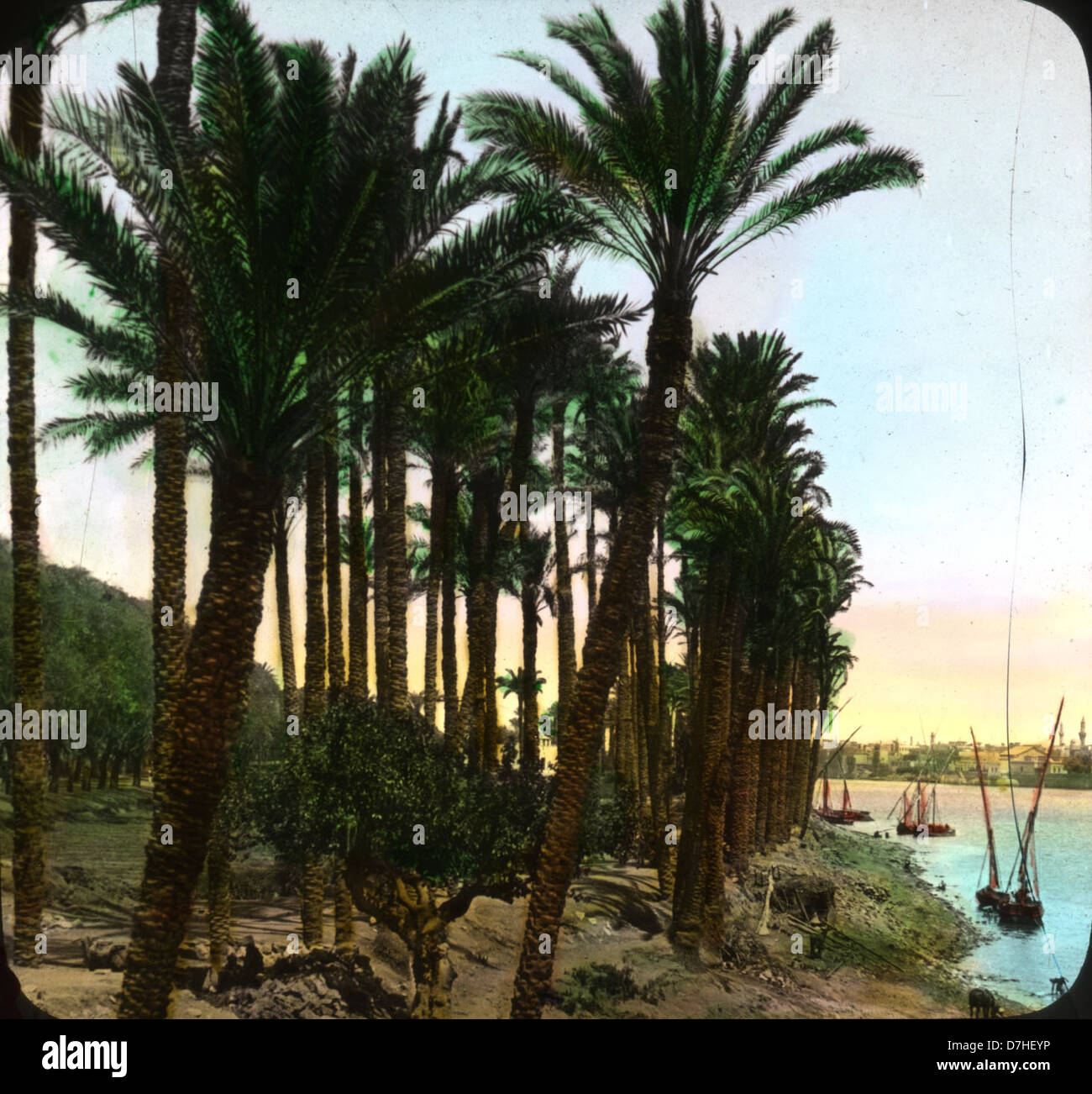 This photograph captures the scenic beauty of the Nile River, with its ...