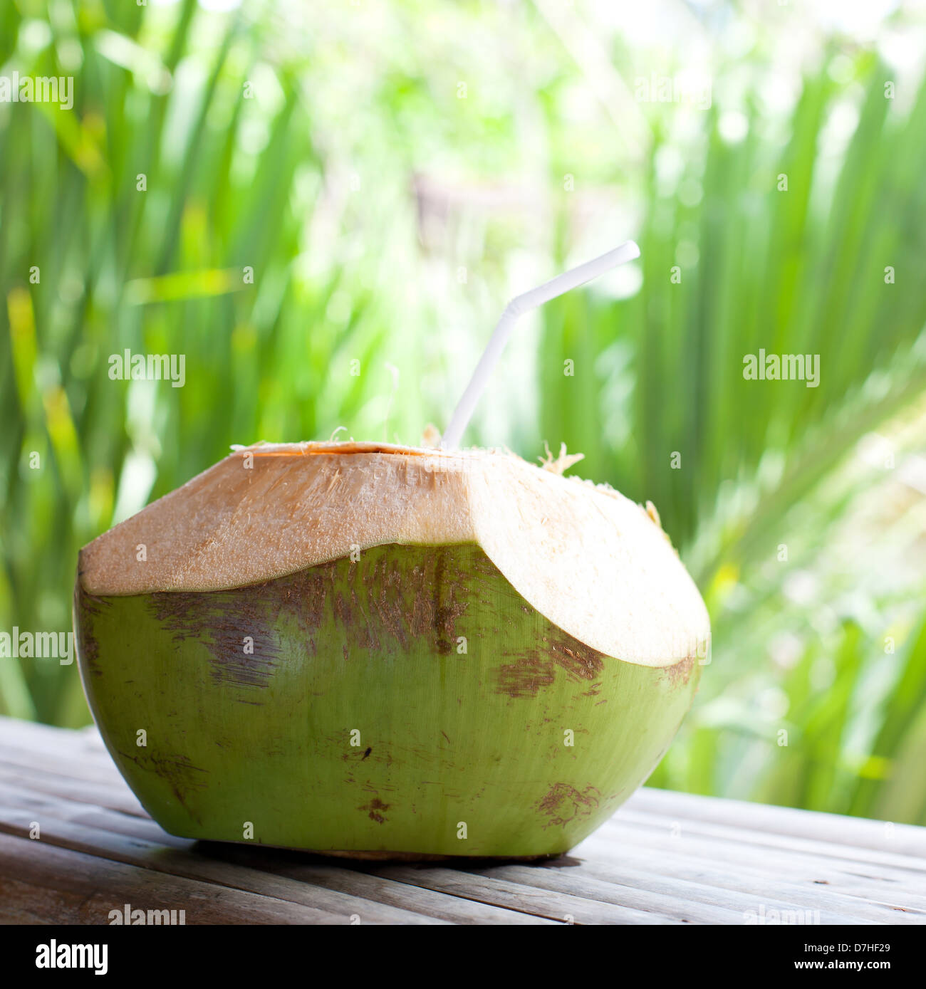 Fresh ripe coconut on the tree hi-res stock photography and images - Alamy