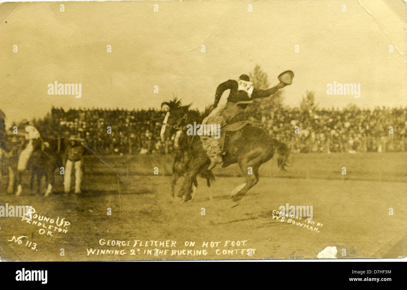 Gwilliams hi-res stock photography and images - Alamy