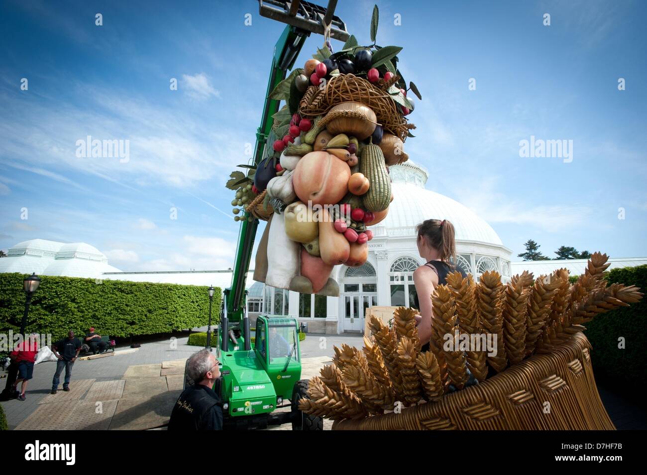 Bronx, New York, U.S. May 7, 2013. Becky Timmons assists in the ...
