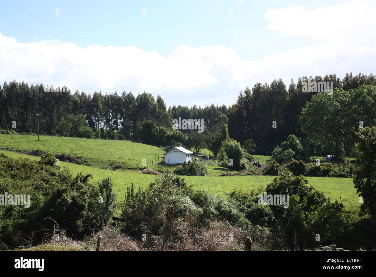 Chile near Puerto Octay Stock Photo - Alamy