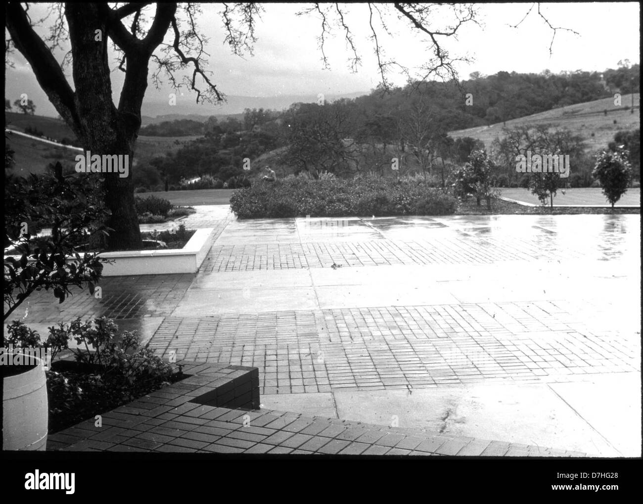This scene captures the tranquility of a rainy day on a brick patio ...