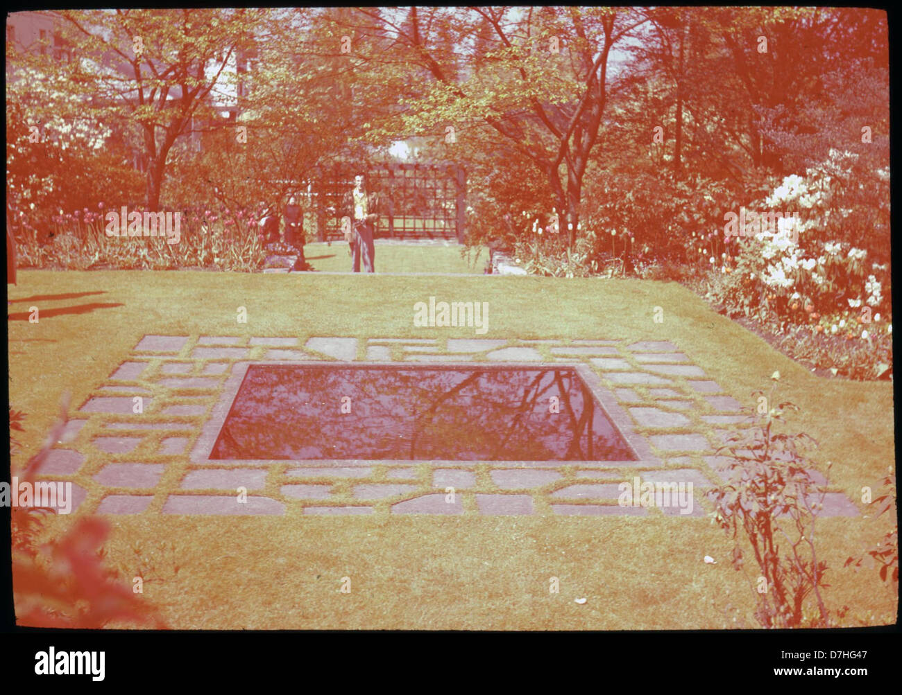 Garden pond and water feature hi-res stock photography and images - Alamy