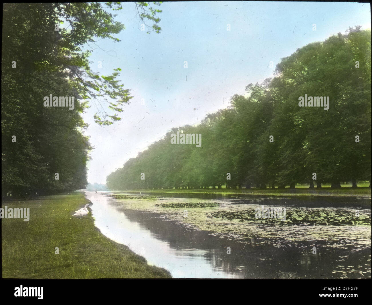 Pool at Hampton Court Palace, England Stock Photo - Alamy