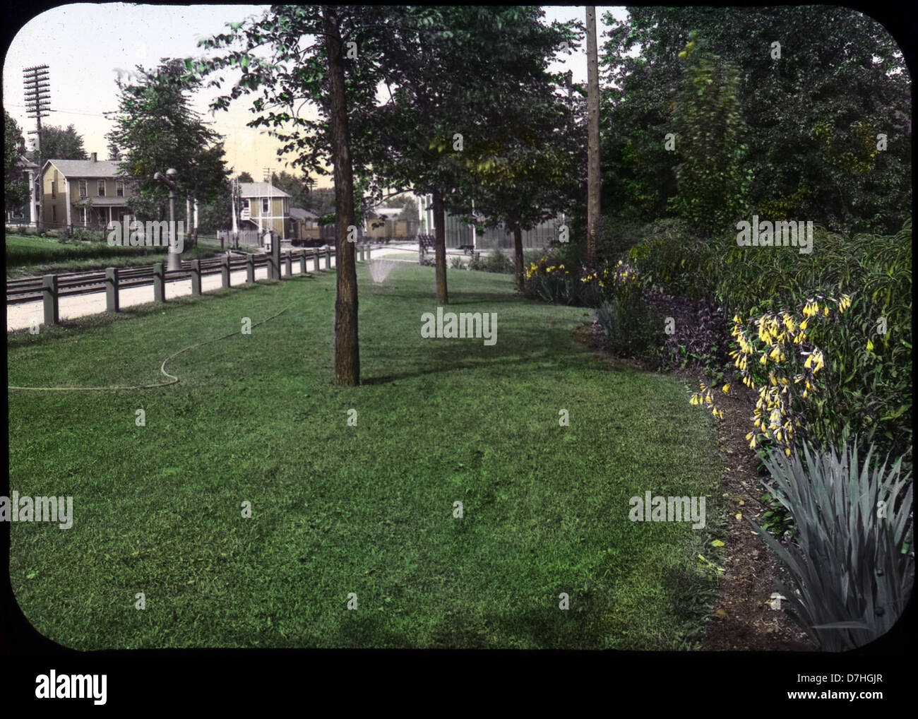 A simple scene showcasing a well-maintained lawn, road, and plants ...