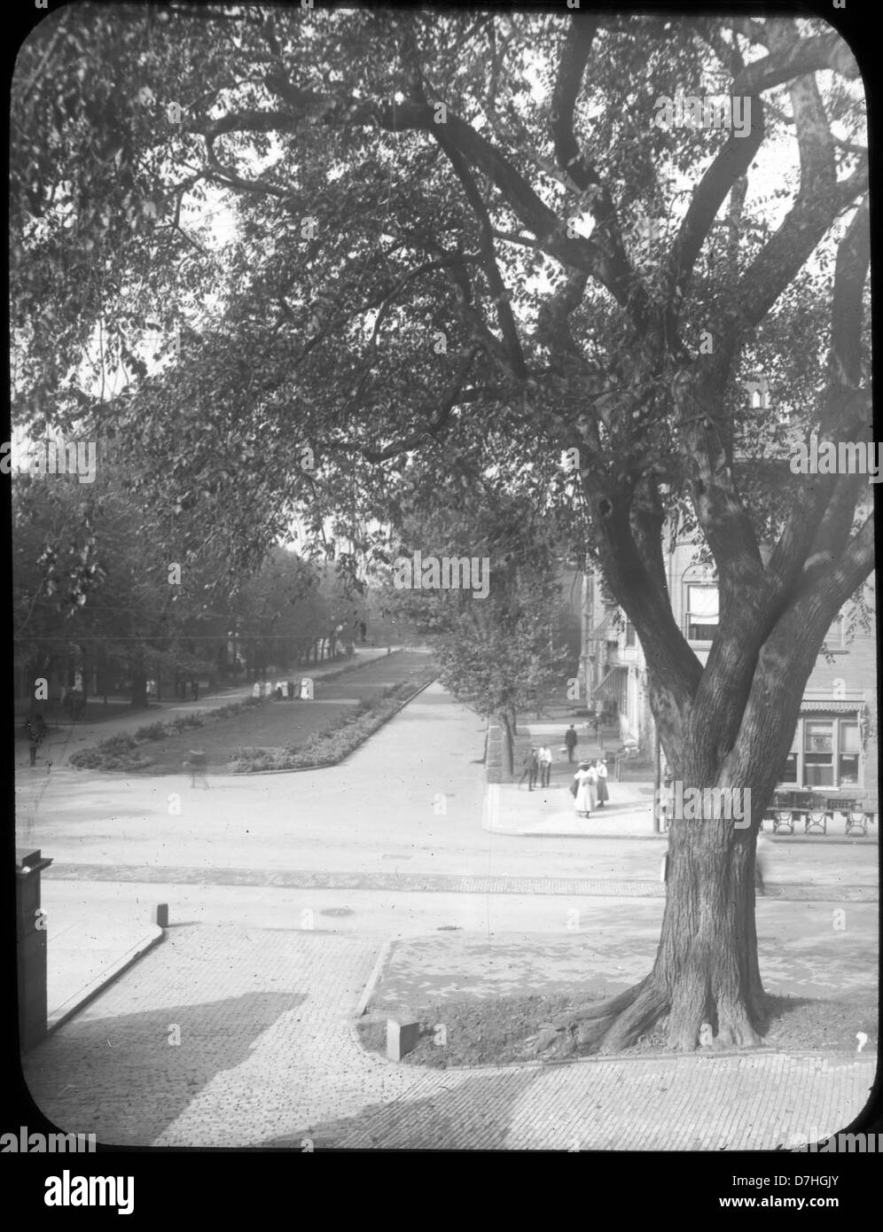 A historical photograph of W. State St. in Harrisburg, Pennsylvania ...