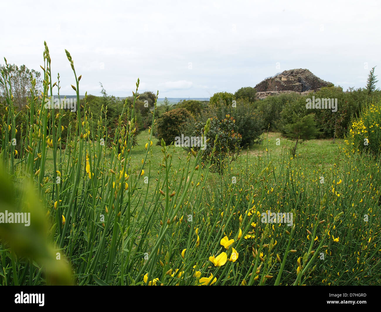 A view at the Nuragic Complex of Barumini, the most important ...