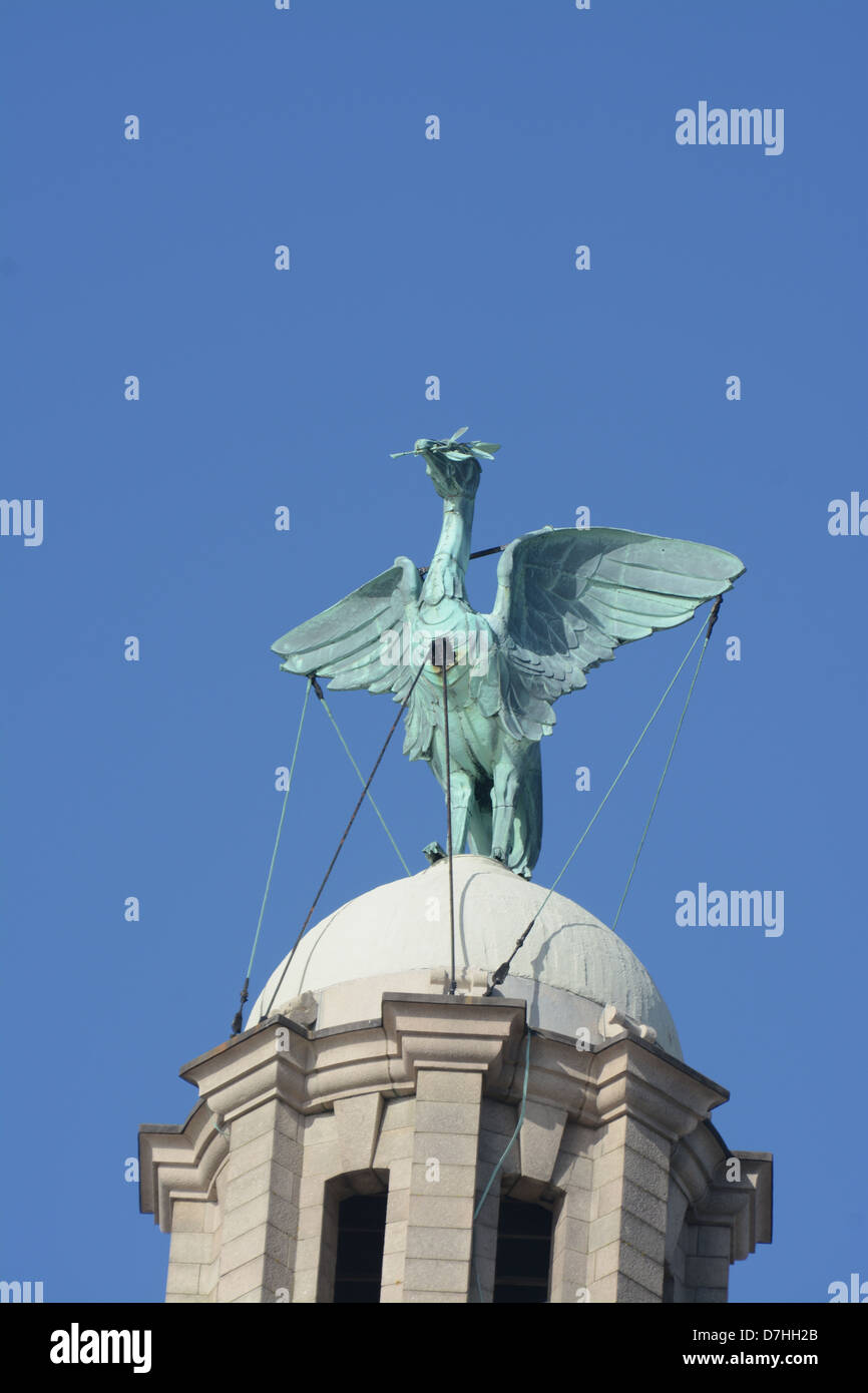 Close up of the Liver Bird on top of the Royal Liver Building in the ...