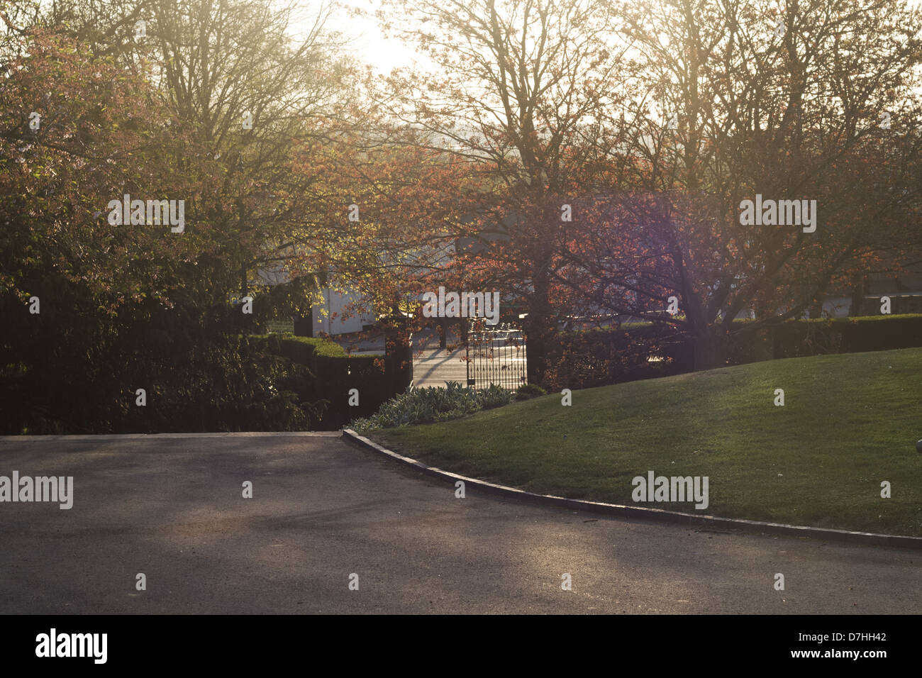 Sunlight shining across the path Stock Photo - Alamy
