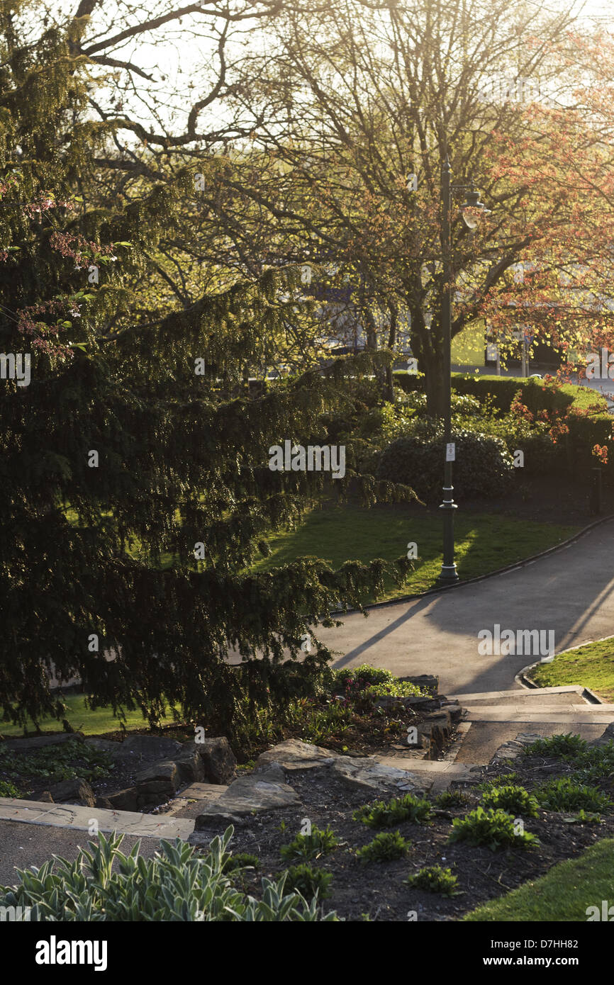 Daylight trees and trees hi-res stock photography and images - Alamy