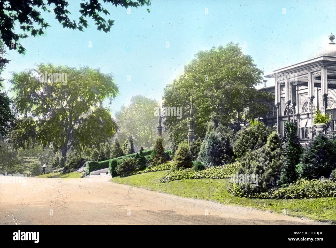 Fairmount Park in Philadelphia showcases its coniferous planting ...