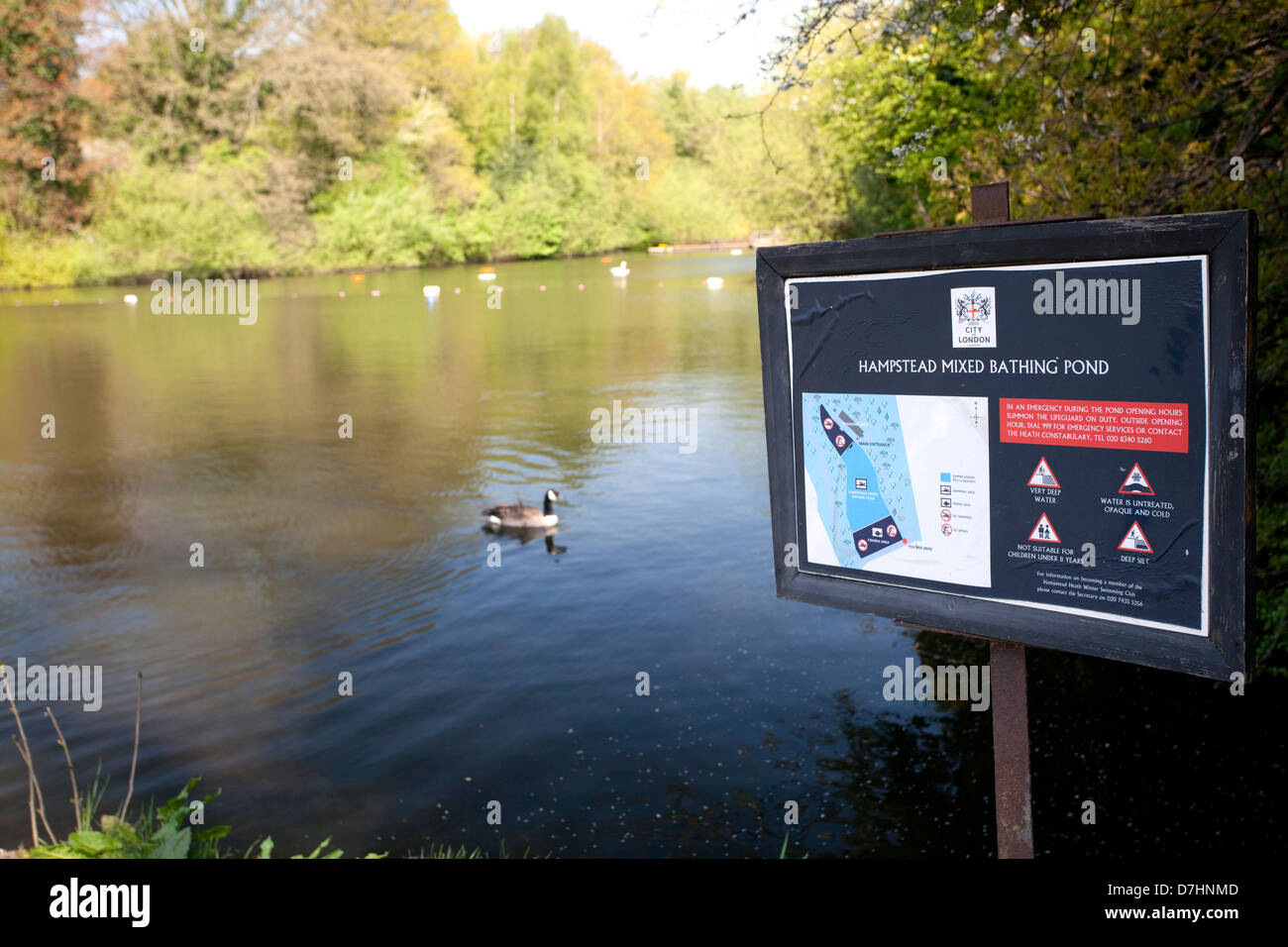 Bathing pond hampstead heath mixed hi-res stock photography and images - Alamy