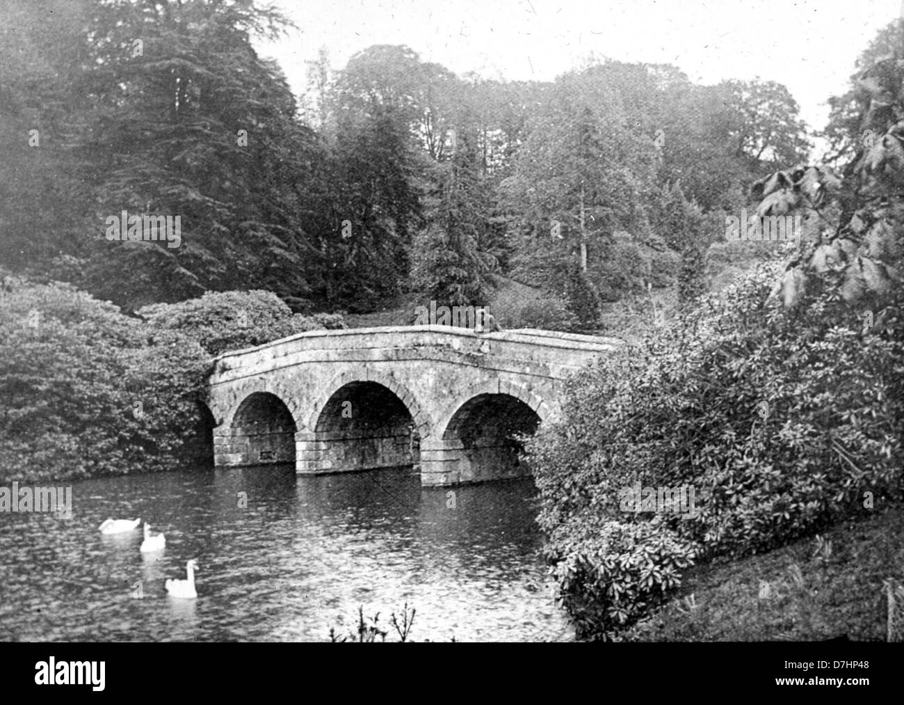 Stratham hi-res stock photography and images - Alamy