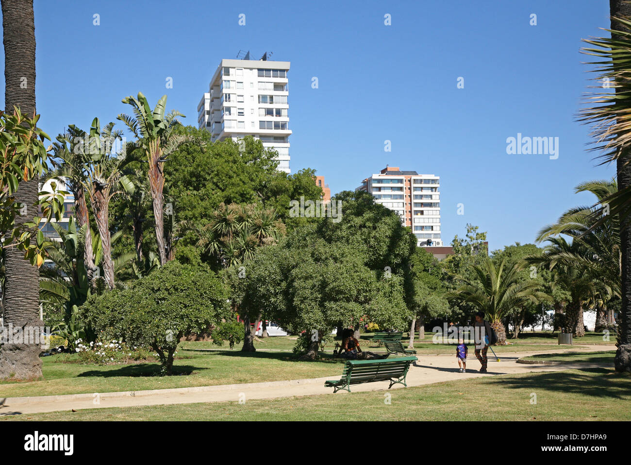 Chile Vina del Mar Stock Photo - Alamy