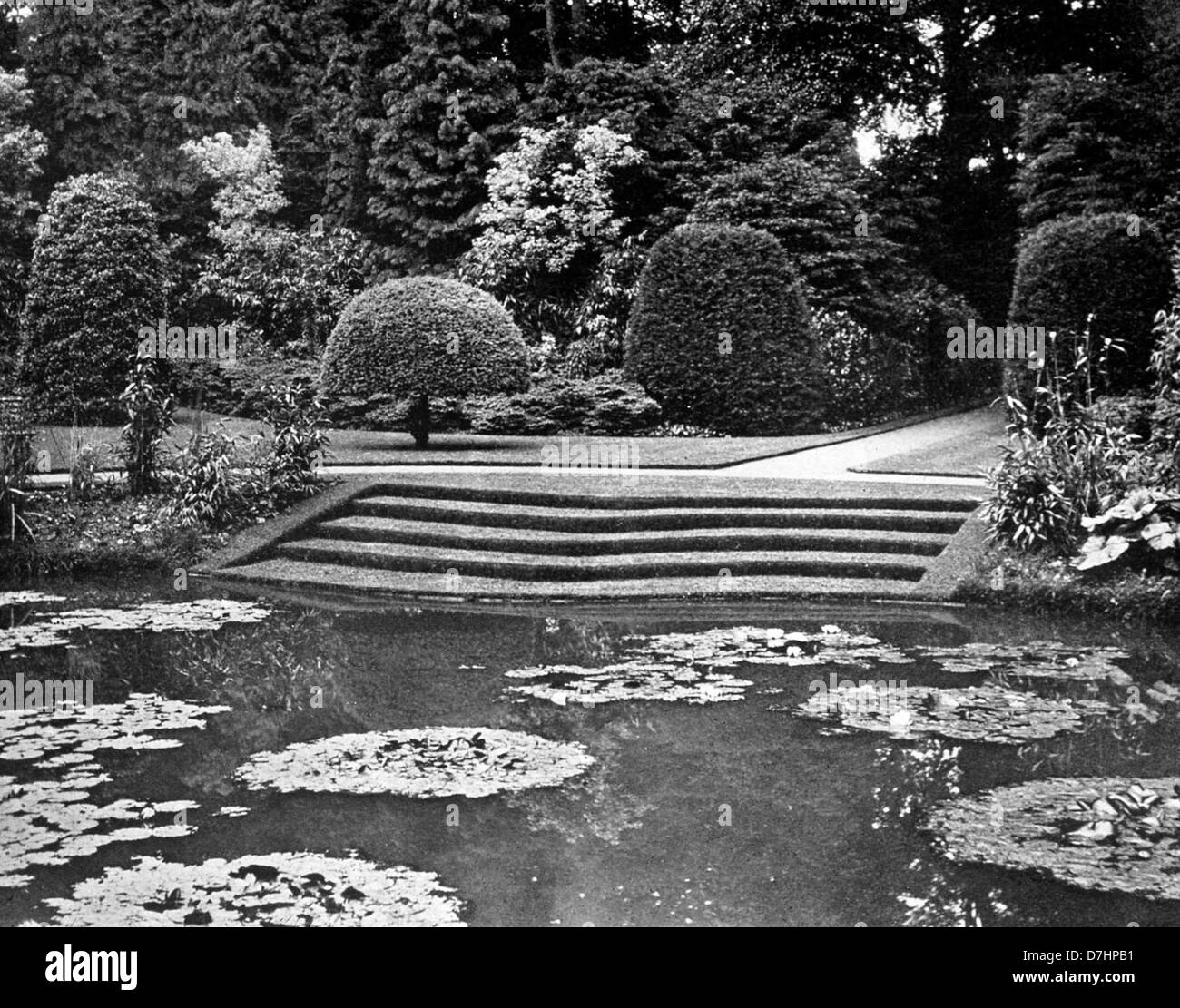 This image captures the tranquil scene at Tring Park, located in ...