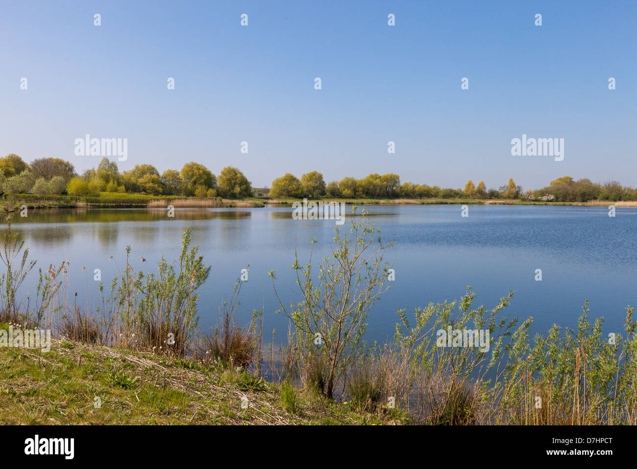 Stanwick Lakes High Resolution Stock Photography and Images - Alamy