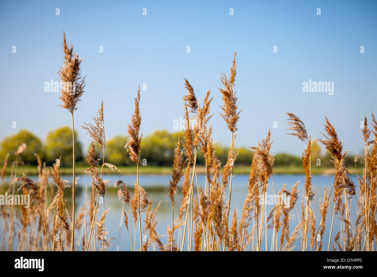 Blue lake water hi-res stock photography and images - Alamy