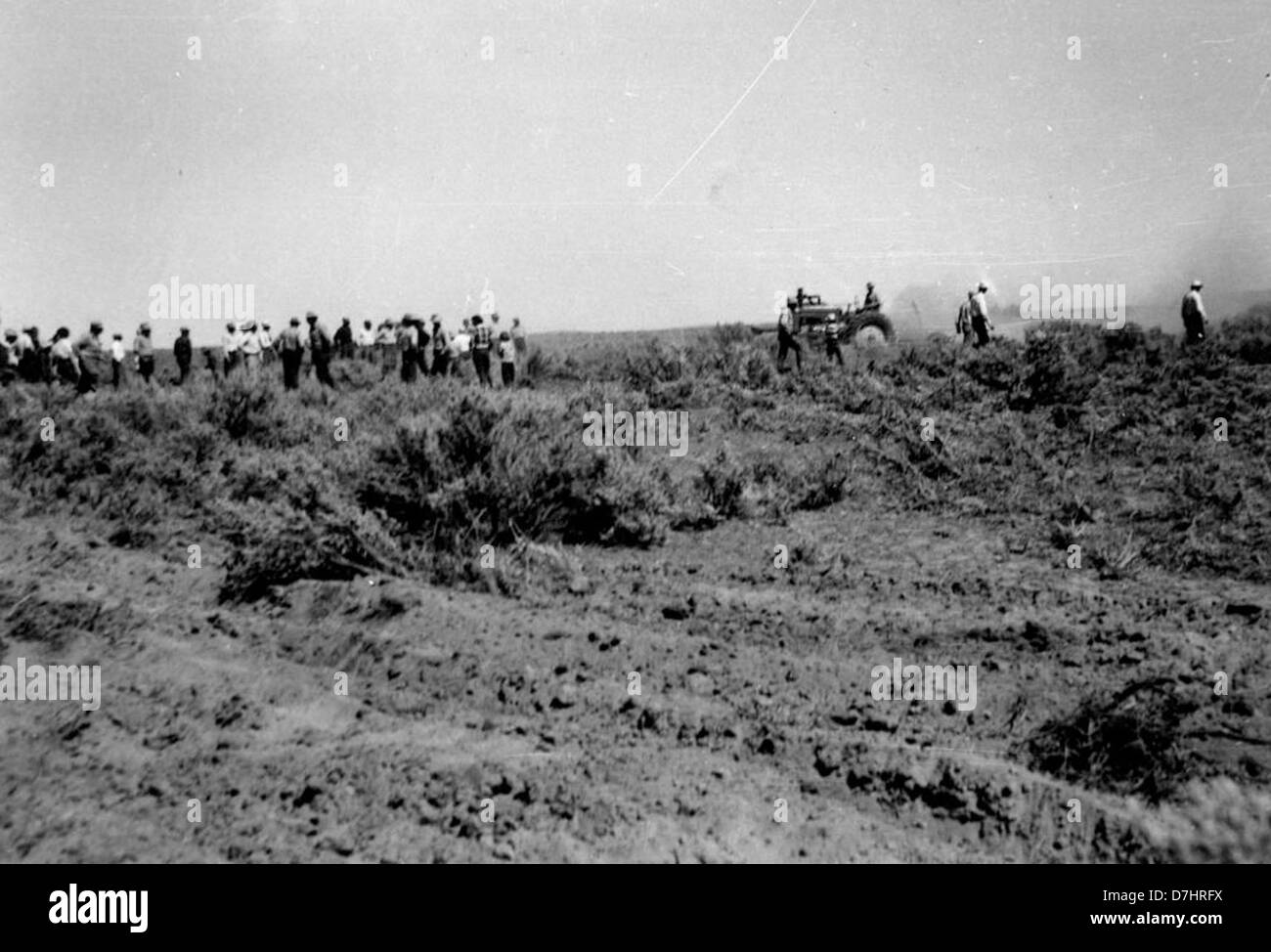 Sage clearing demonstration, Harney County Stock Photo - Alamy